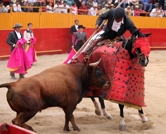 The suffering of horses in the bullring • CAS International