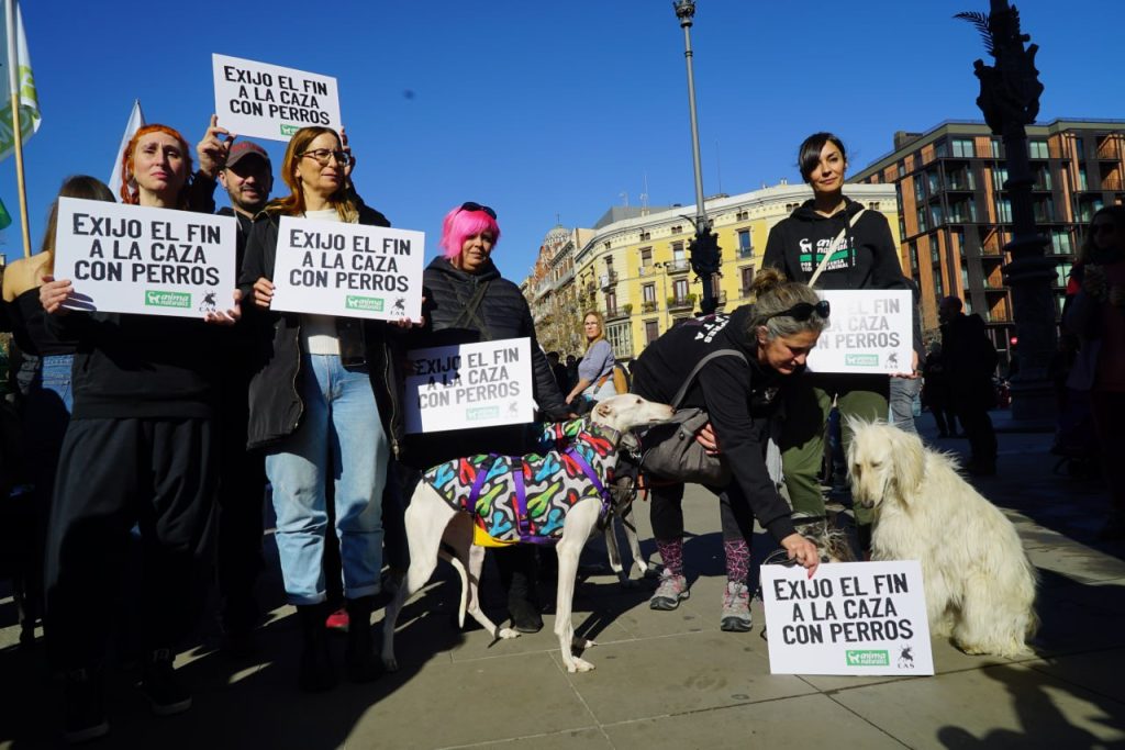 45 protests in Spain for the end of hunting with dogs