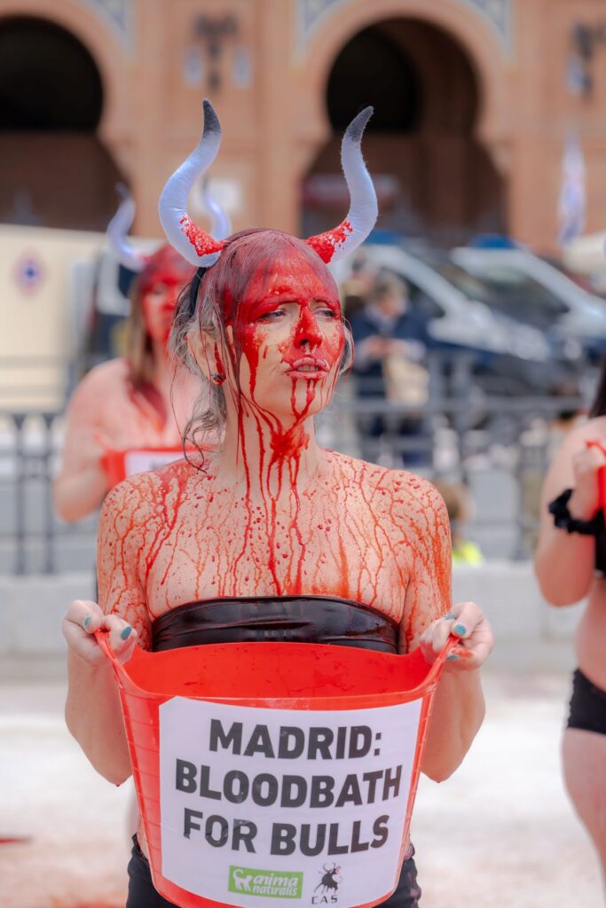 Protest in Madrid against bullfighting • CAS International